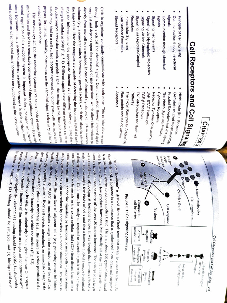 Adobe Scan 16 Dec 2023 | PDF