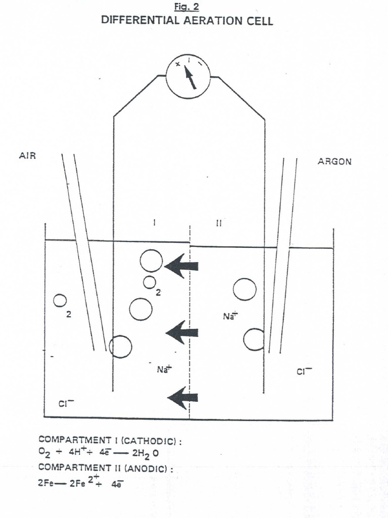 Fig 2 Differential Aeration Cell | PDF