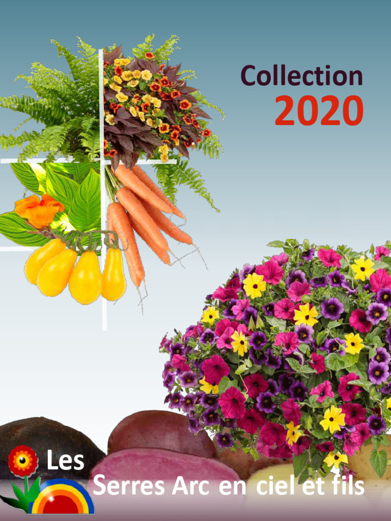 Catalogue Serres Arc en Ciel | PDF