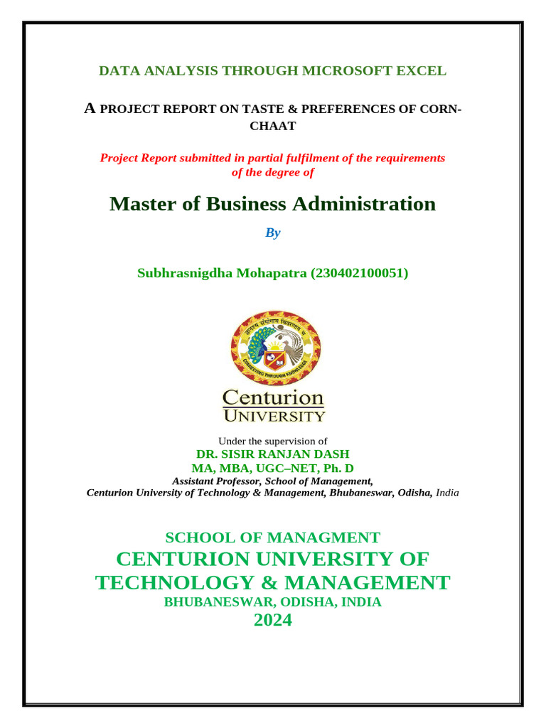 SM Excel Project | PDF