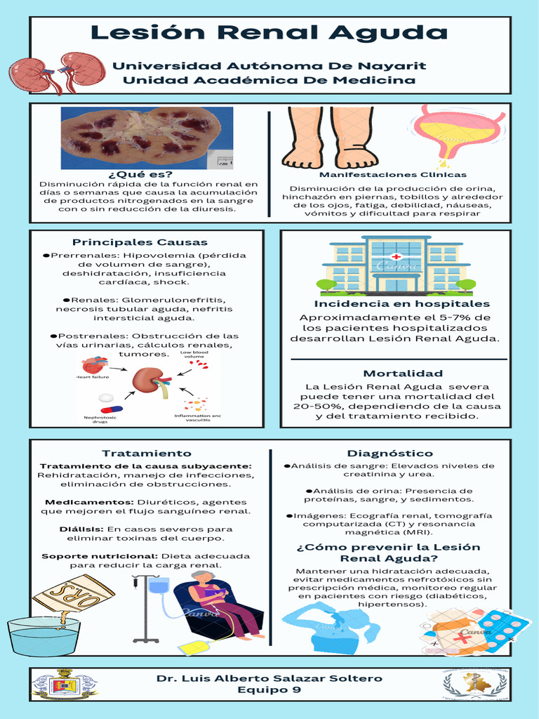 Lesion Renal Aguda Infografia | PDF