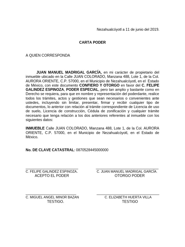 Carta Poder | PDF | Derecho