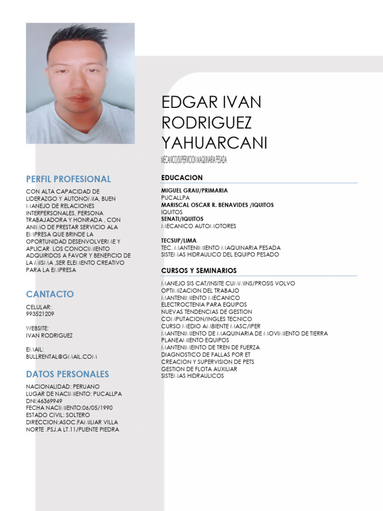 CV Ivan | PDF