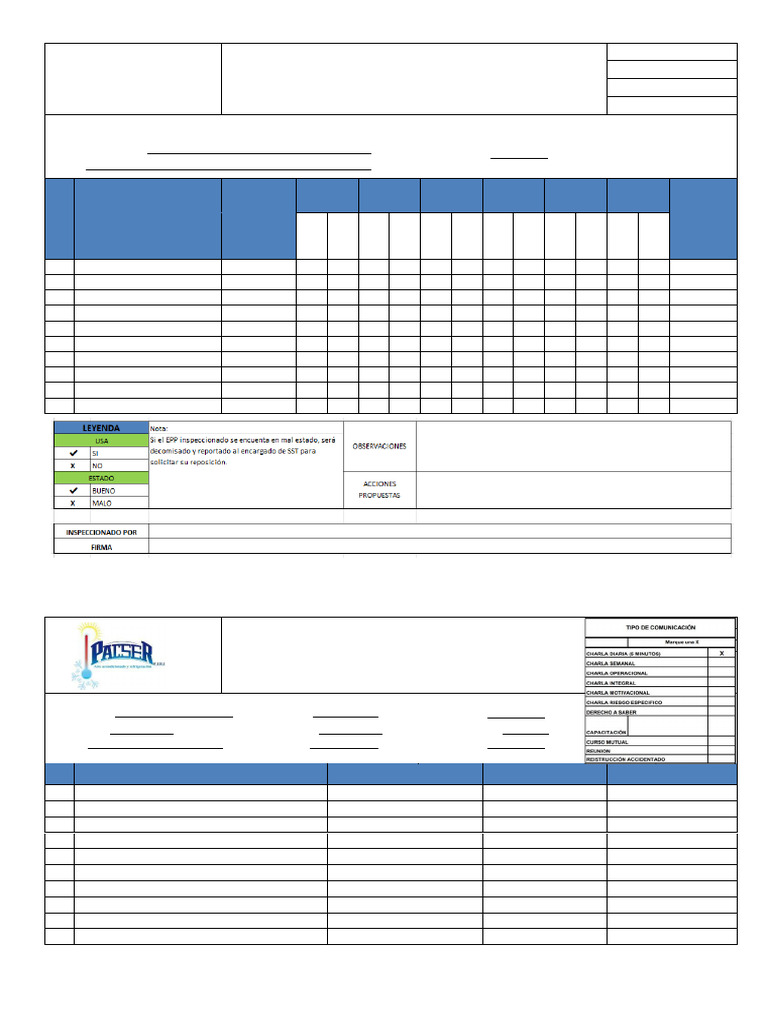 Formato Epps - Charla | PDF