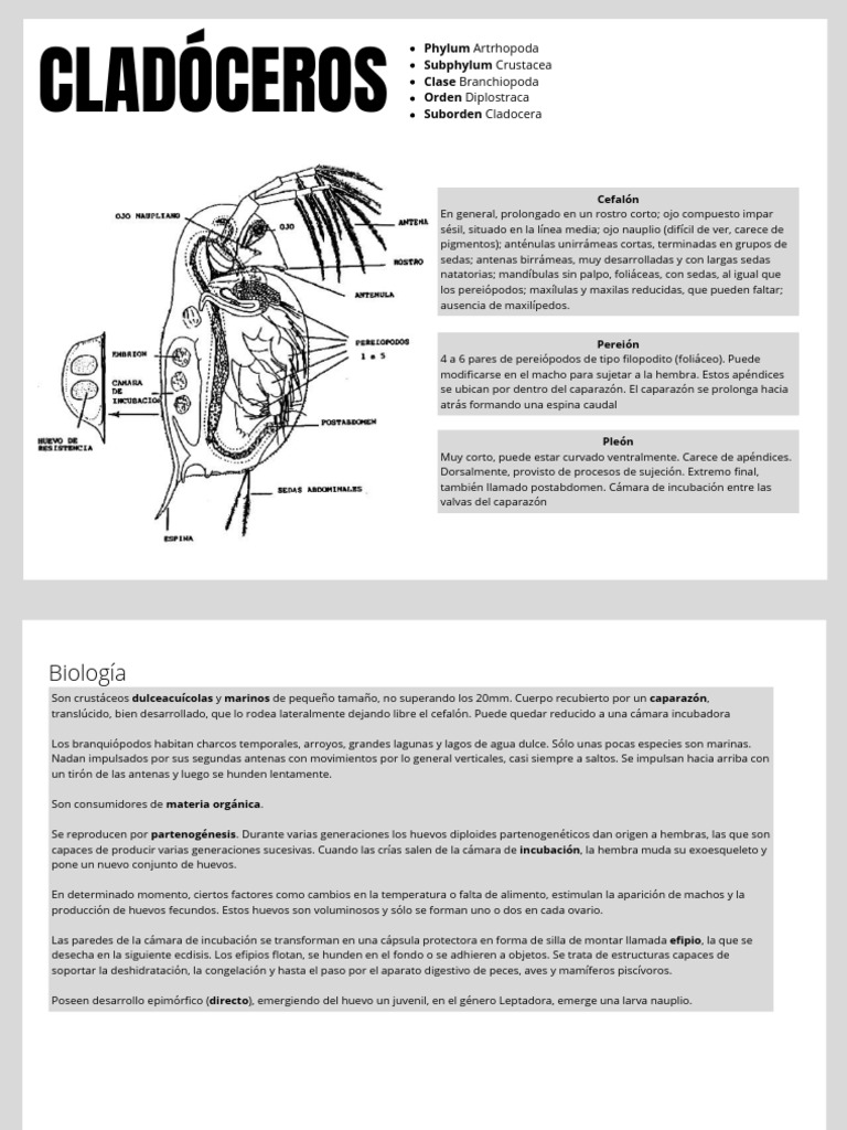 Cladocera | PDF