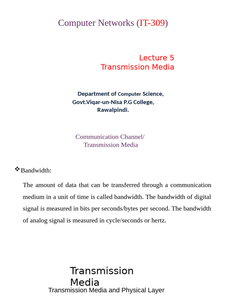 IT-309 Lecture 5 University of Punjab | PDF
