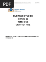 2025 BSTD Grade 12 Scope | PDF | Corporate Social Responsibility ...