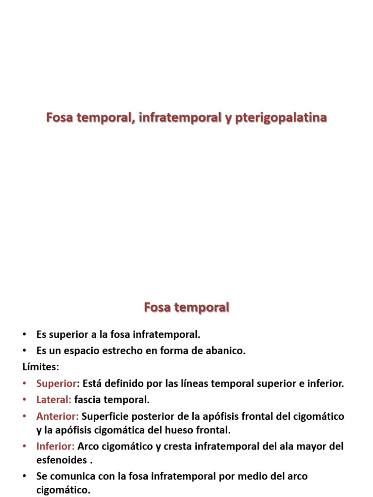 15 Fosa Temporal, Infratemporal y Pterigopalatina | PDF