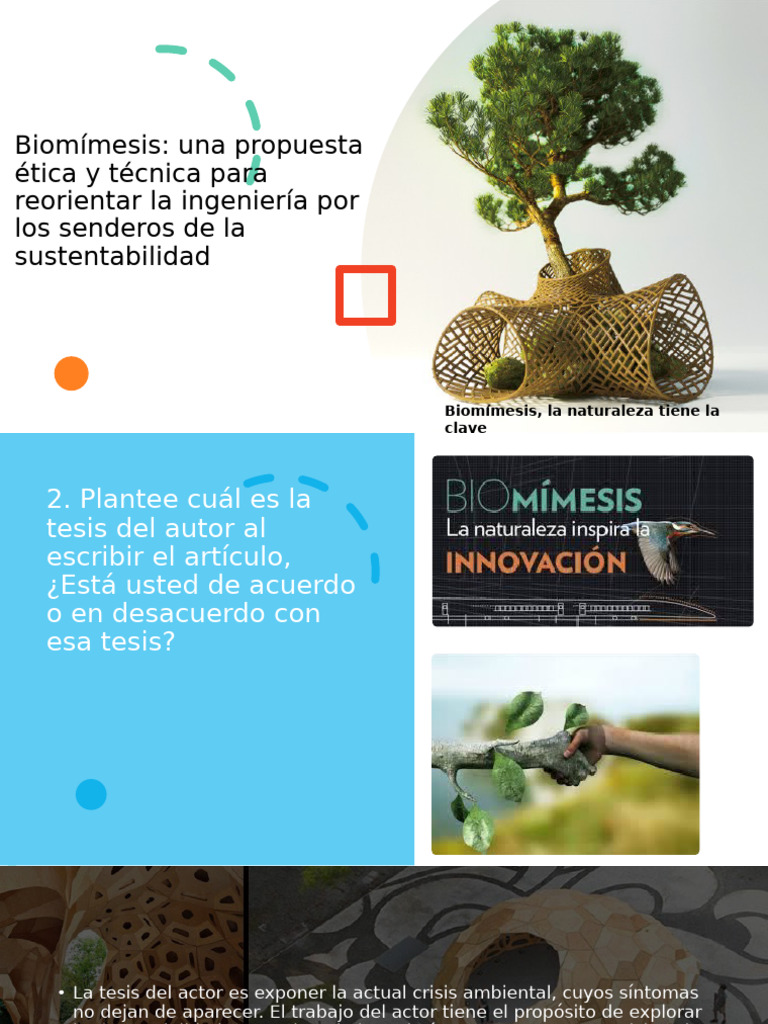 Biomímesis | PDF