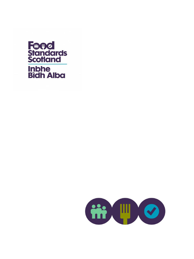 Fss Audit Charter Fss Enf 18 001 | PDF