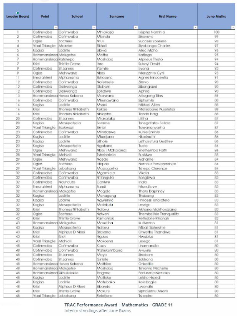 GR 11 Maths June Results For 30 Schools Under Stellenbosch TRAC Program ...