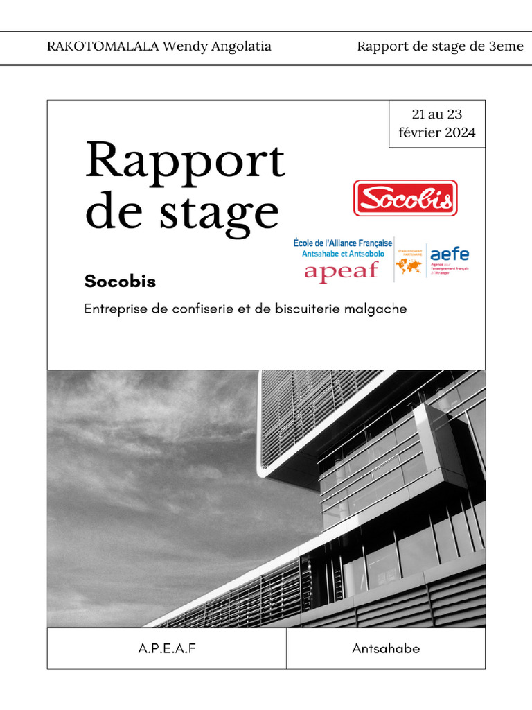 Rapport de Stage Entreprise Professionnel Minimaliste Jaune | PDF