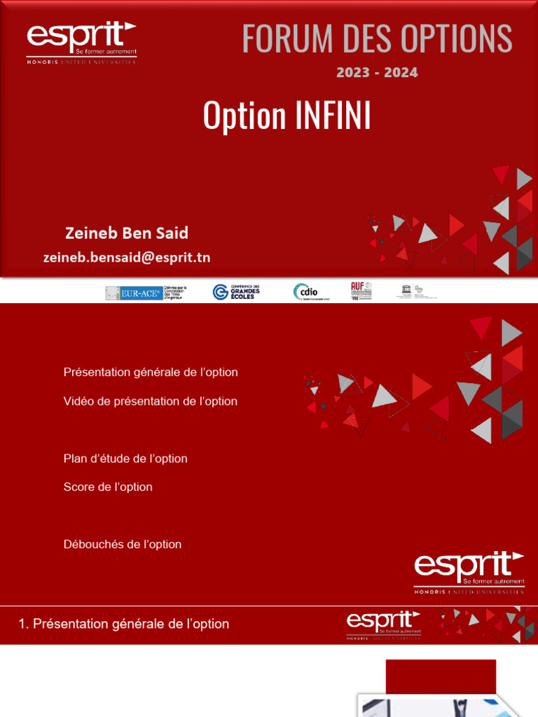 Présentation de L'option INFINI 2024 - 2025-VFF | PDF