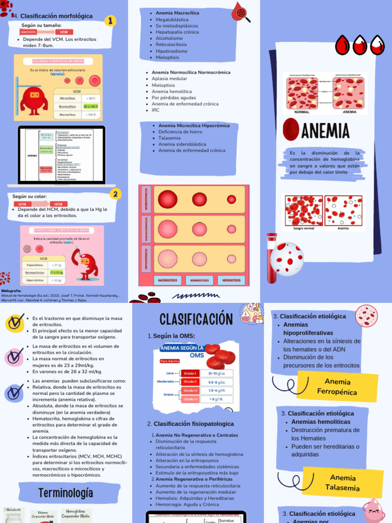 Hematología Clasificación de Anemias | PDF | Anemia | Glóbulo rojo