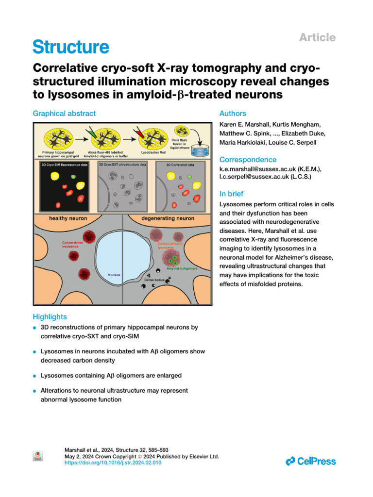 Correlative Cryo Soft X Ray Tomography and Cryo ST | PDF