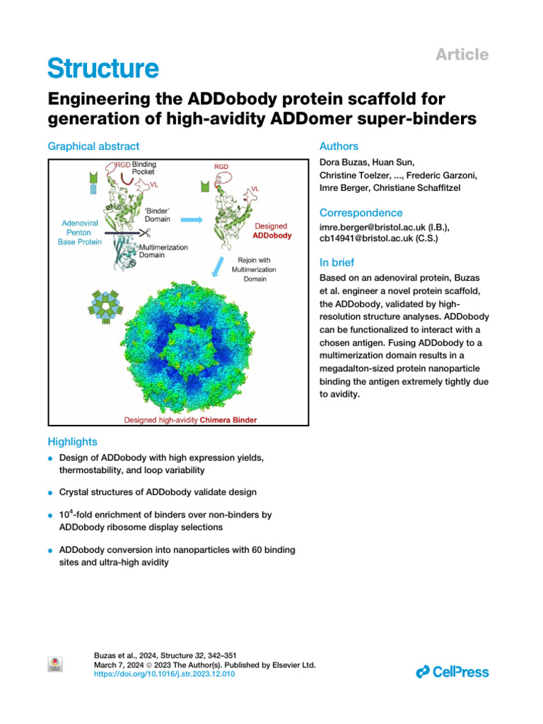 Engineering The ADDobody Protein Scaffold For Gene | PDF