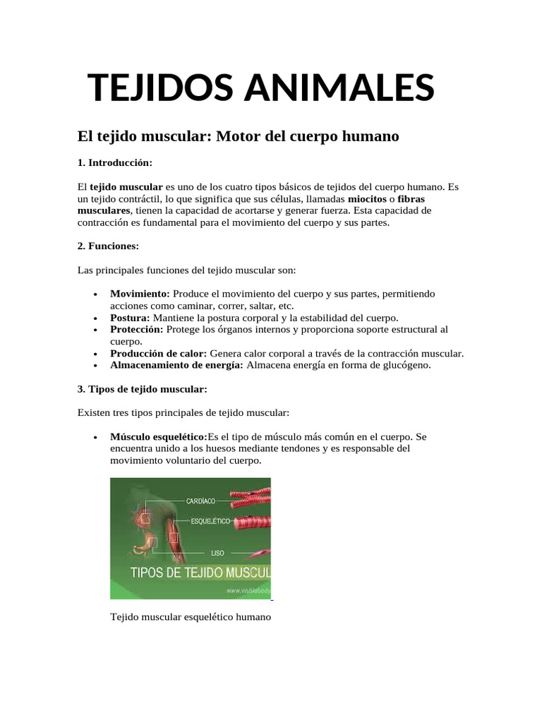 TEJIDOS ANIMALES de Yosue | PDF