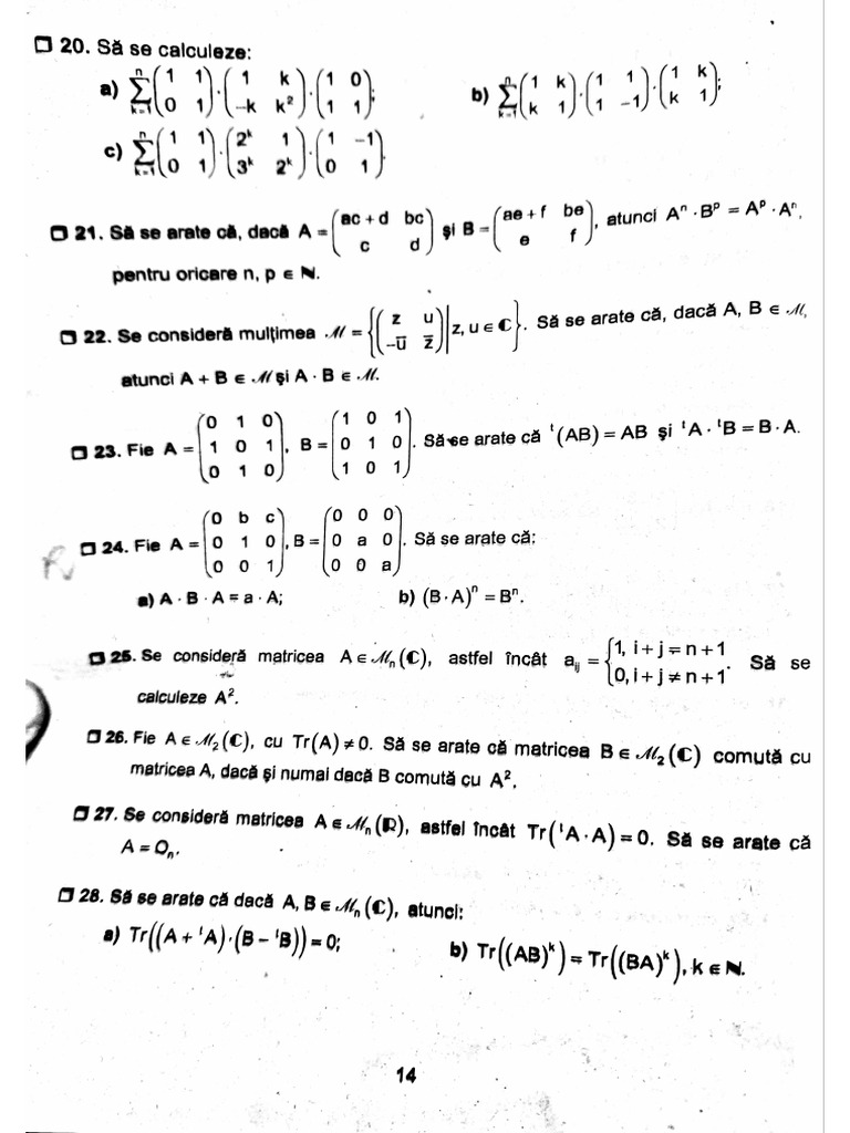 Recapitulare Matrice | PDF