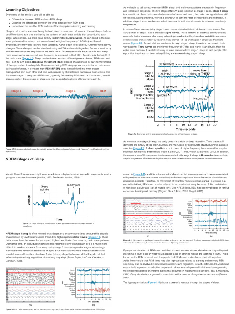 4.3 Stages of Sleep - Psychology 2e - OpenStax | PDF