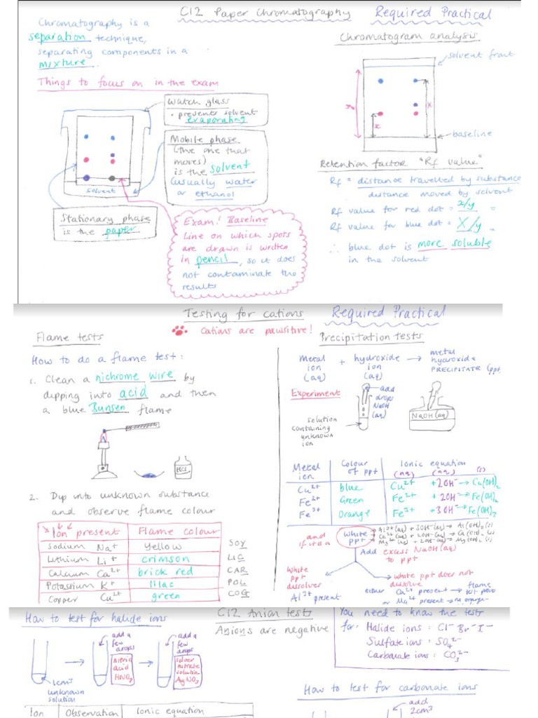 Paper 2 Revision SEP SCI | PDF