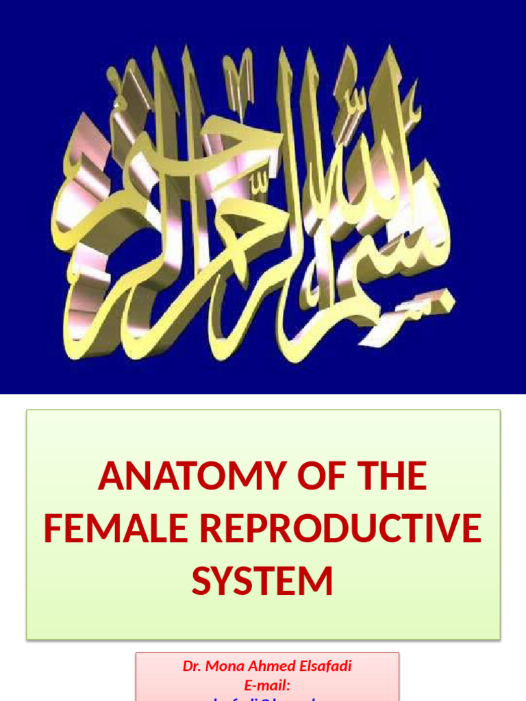 Female Reproductive System Anatomy Guide | PDF | Uterus | Social Science
