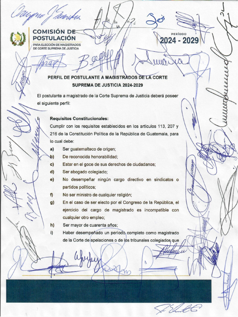 Perfil de Postulante CP CSJ 2024 2029 Firmado | PDF