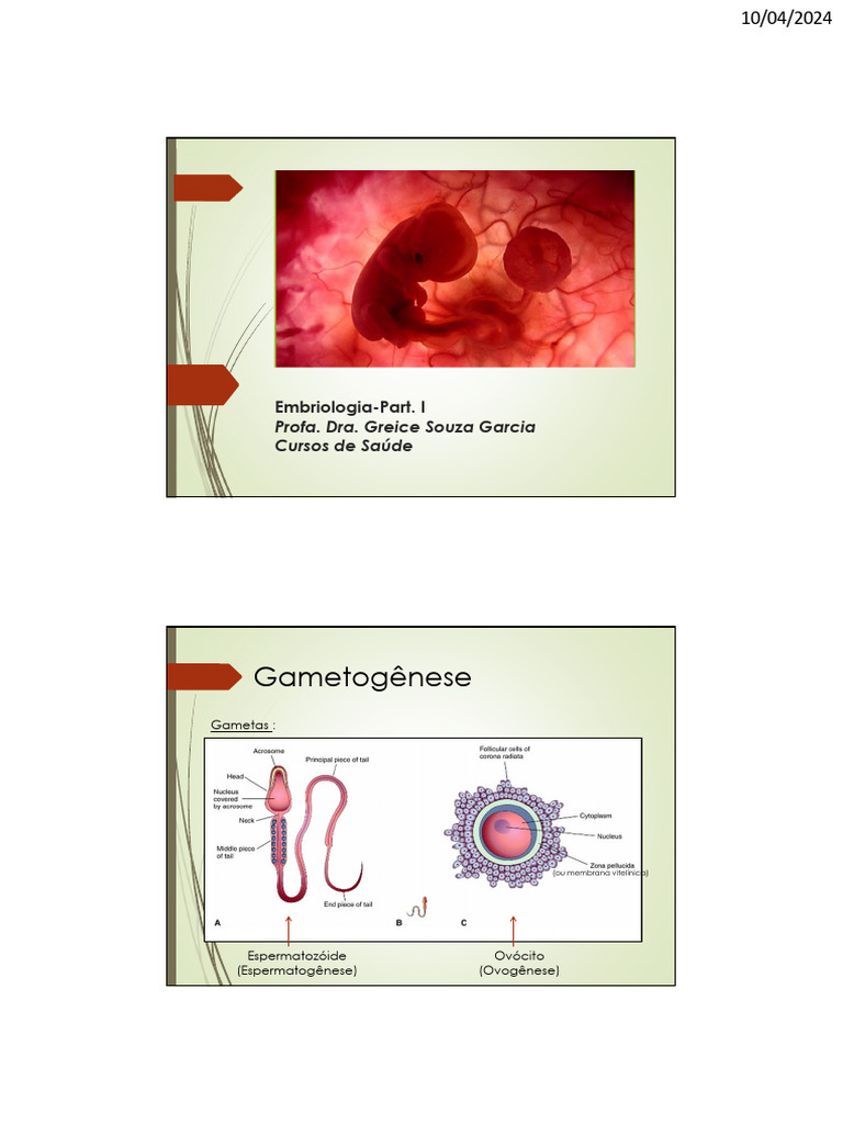 Slides Aula - Embriologia Part. I | PDF