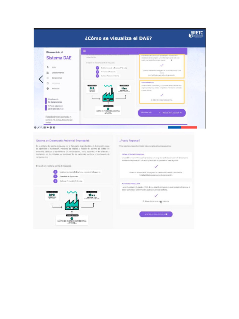 Capacitacion Sistema DAE | PDF