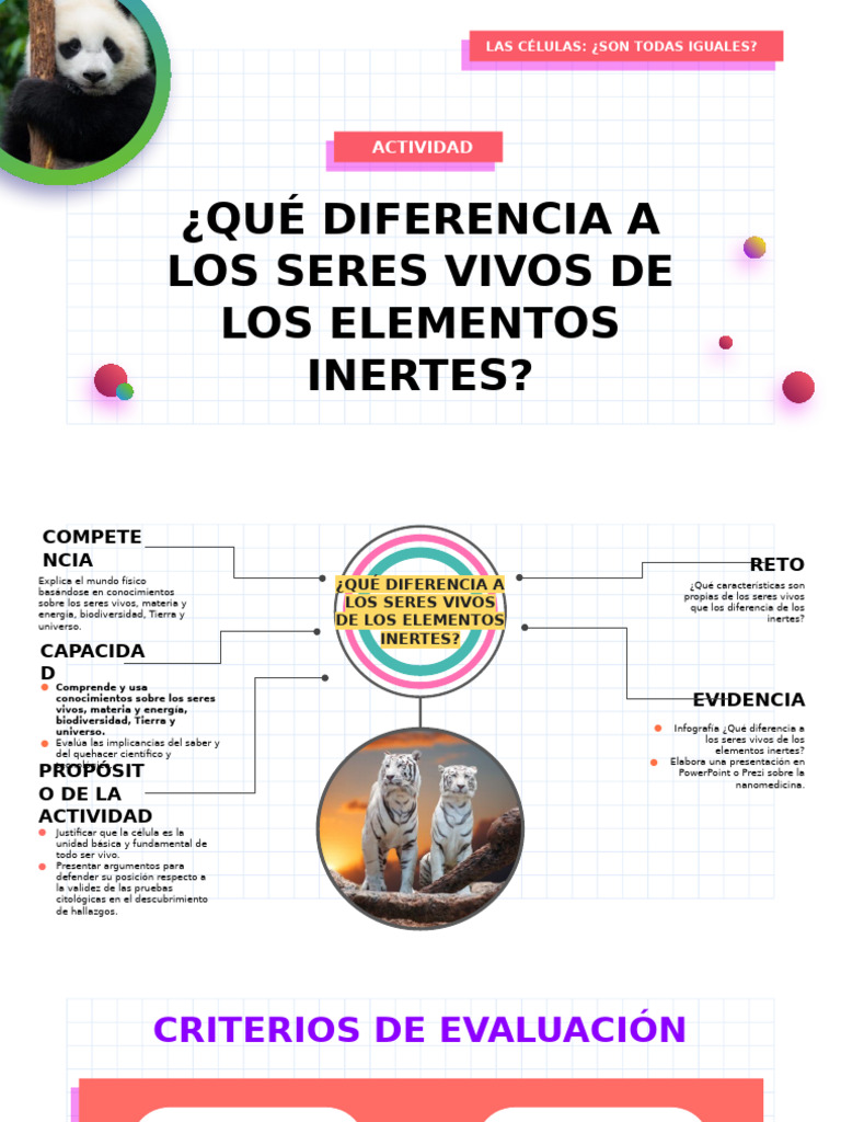Qué Diferencia A Los Seres Vivos de Los Elementos Inertes | PDF