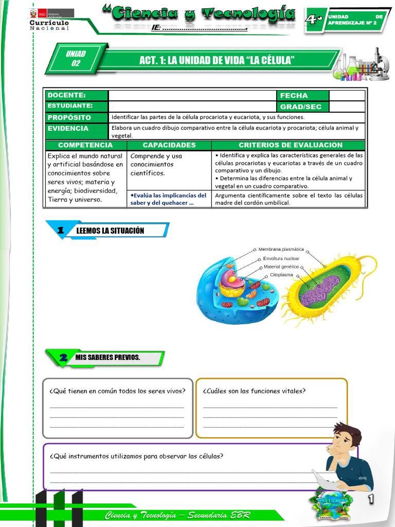 A-4º Act 1-Cyt-Und 2 - Sem 1 | PDF