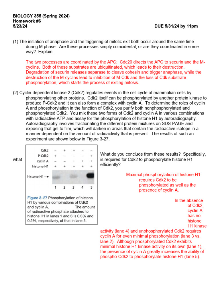 Homework 6 Answers - Tagged | PDF | Kinase | Science & Mathematics