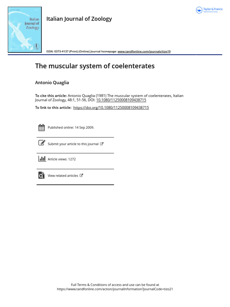 The Muscular System of Coelenterates | PDF