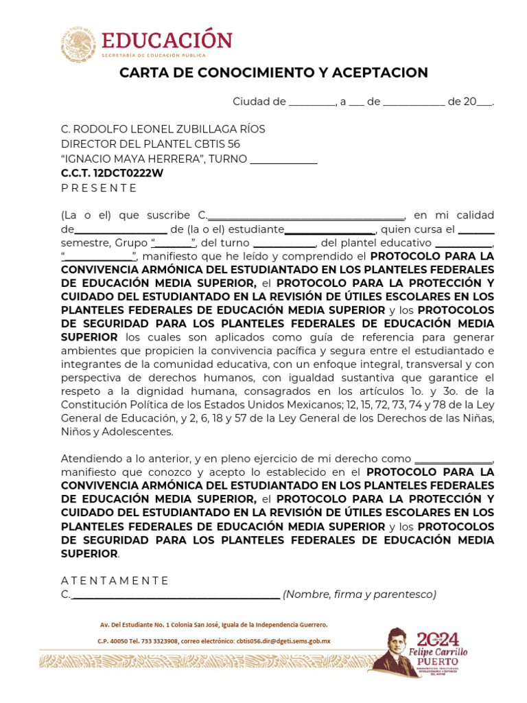 Protocolos Formatos | PDF