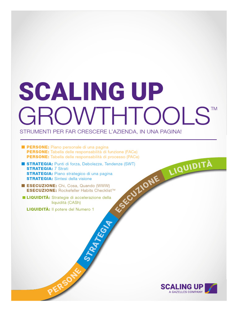Scaling Up Template | PDF