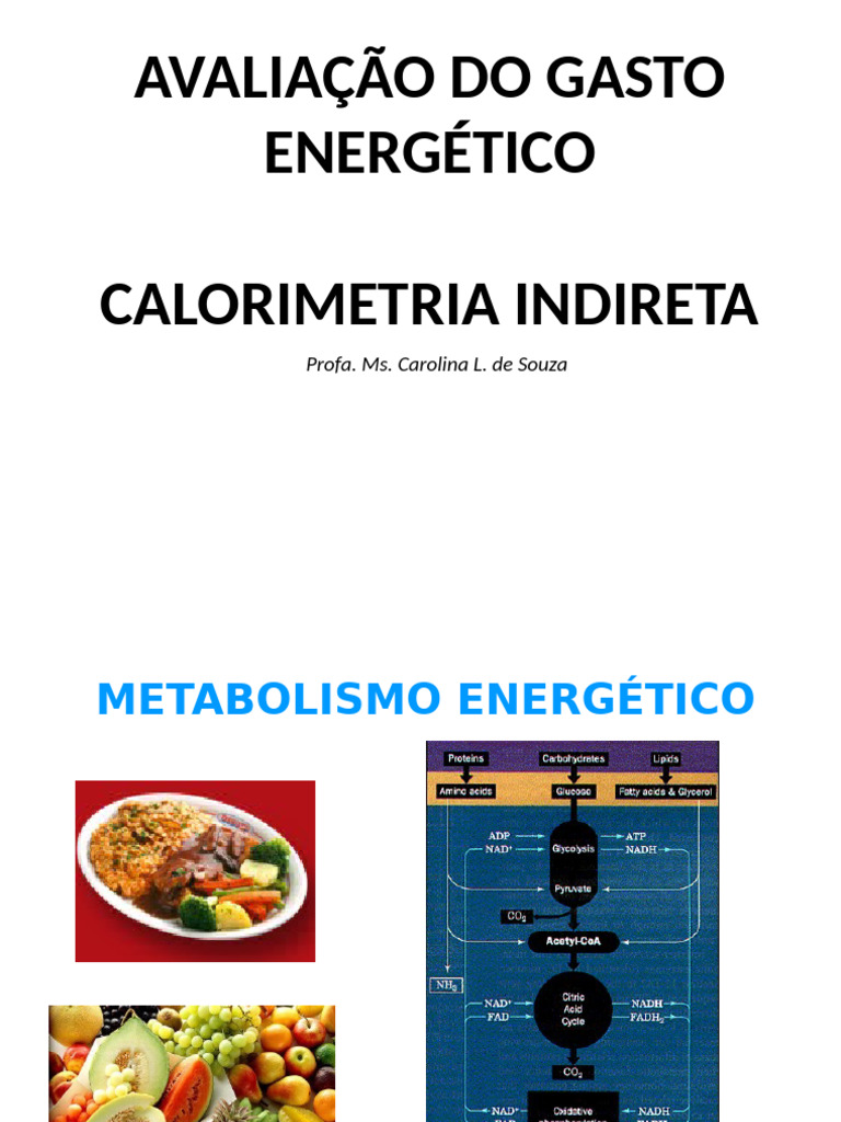 Avaliação Do Gasto Energético Calorimetria Indireta: Profa. Ms ...