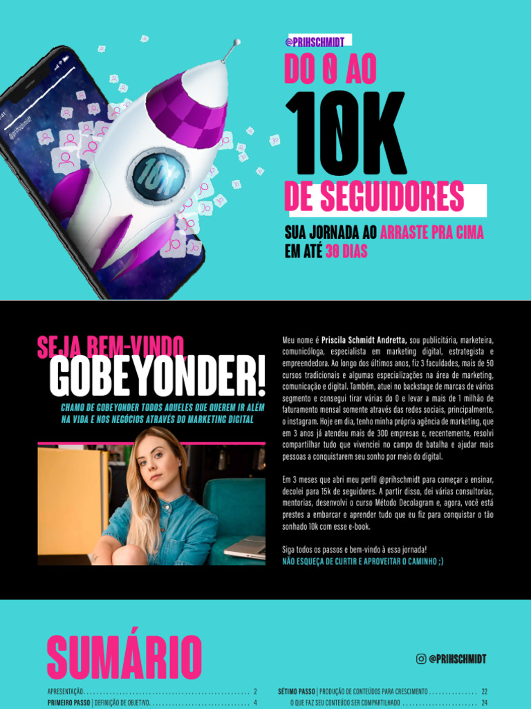 Ebook Do Zero Aos 10k de Seguidores Prih 1 | PDF