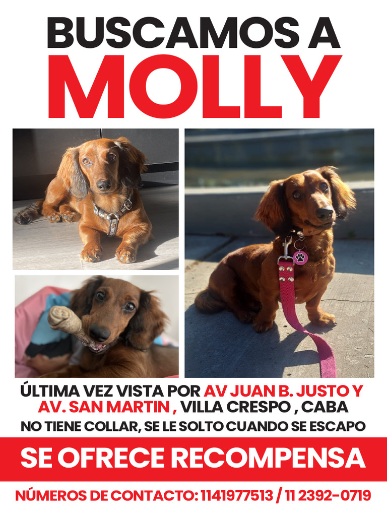 Molly | PDF