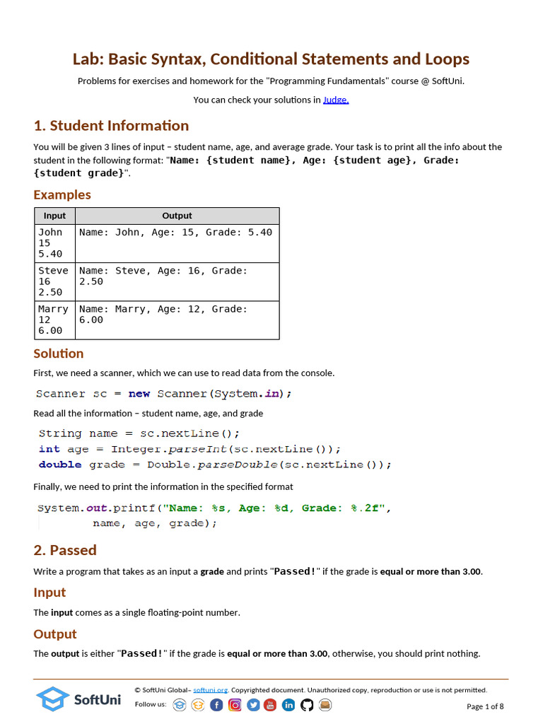 Student Information - Problem Description | PDF