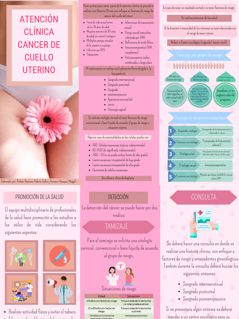 Folleto Sobre La Prevención Del Cáncer Cervicouterino | PDF