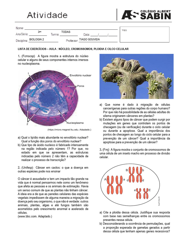 Lista - Nucleo Cromossomos Ploidia e Ciclo Celular | PDF