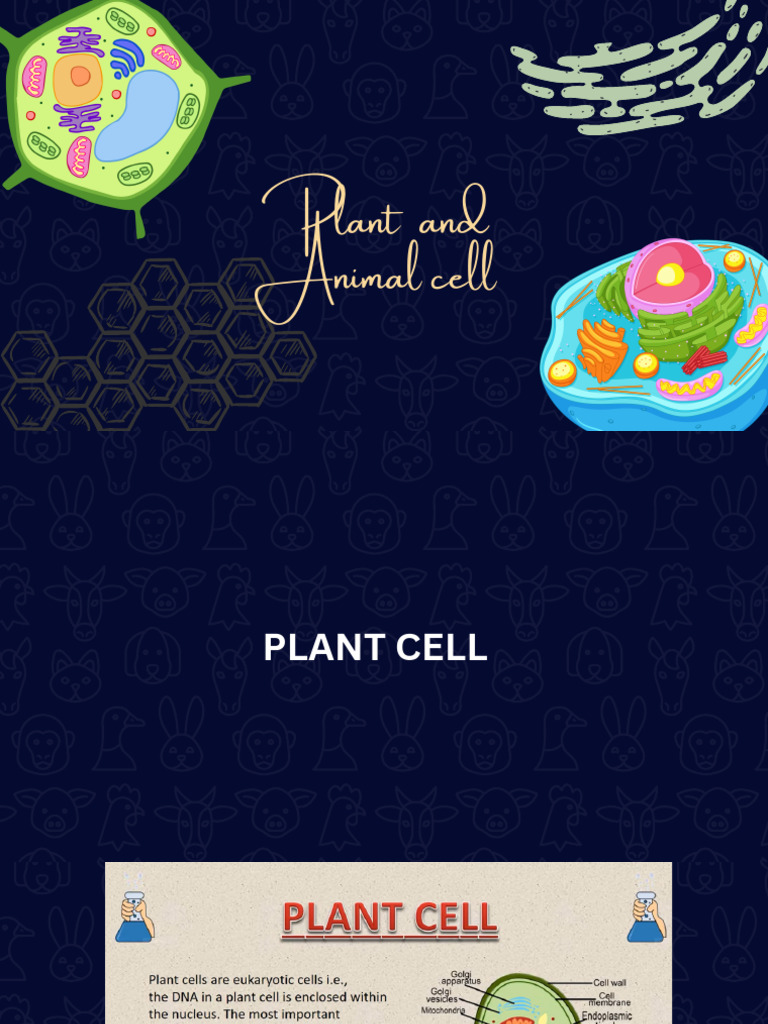 Blue and White Illustrative Parts of Animal Cell Presentation | PDF
