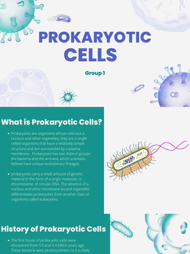 Prokaryotic Cells Group 1 | PDF | Cell (Biology) | Science & Mathematics