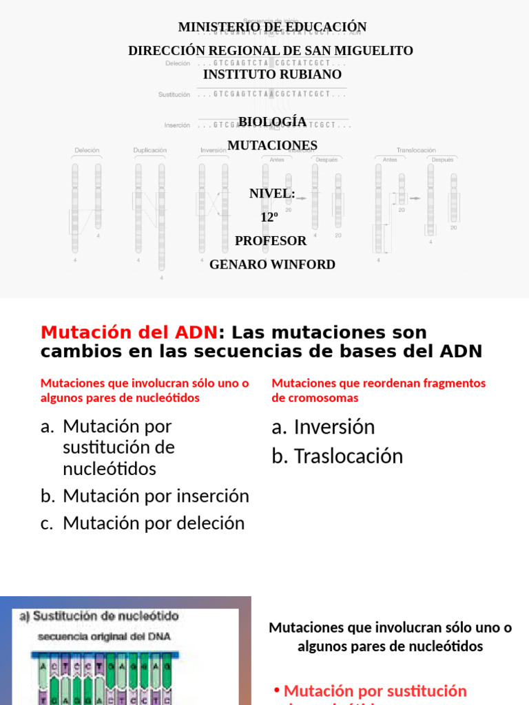 MUTACIONES | PDF