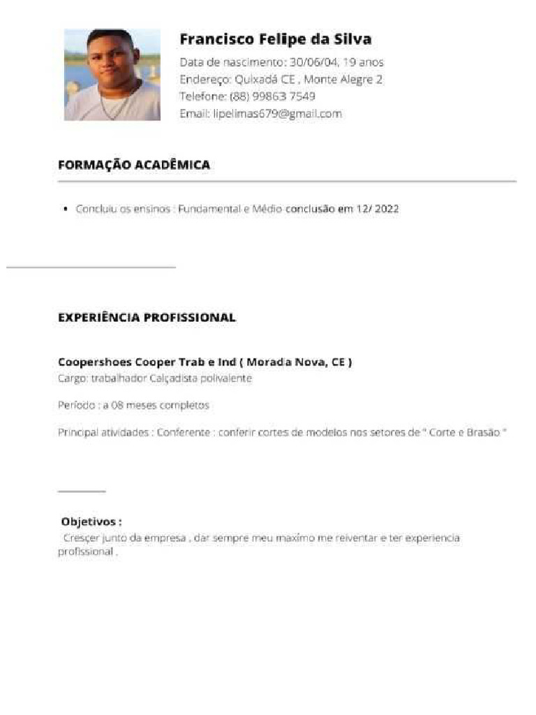 Curriculo 2024 | PDF