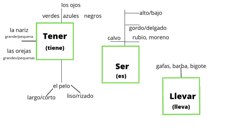 Descripciones Fisicas | PDF