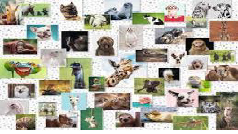 Ejemplo Collage Perritos | PDF