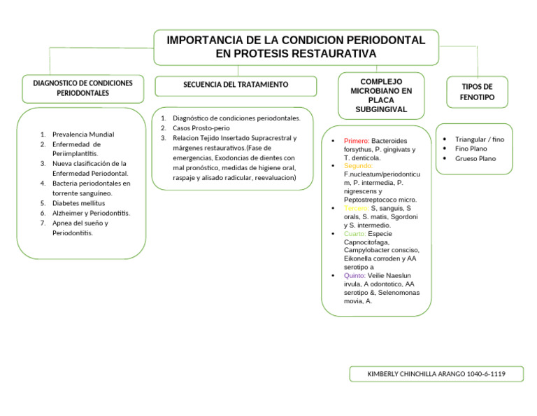 Mapa Descriptivo Revison de Literatura | PDF