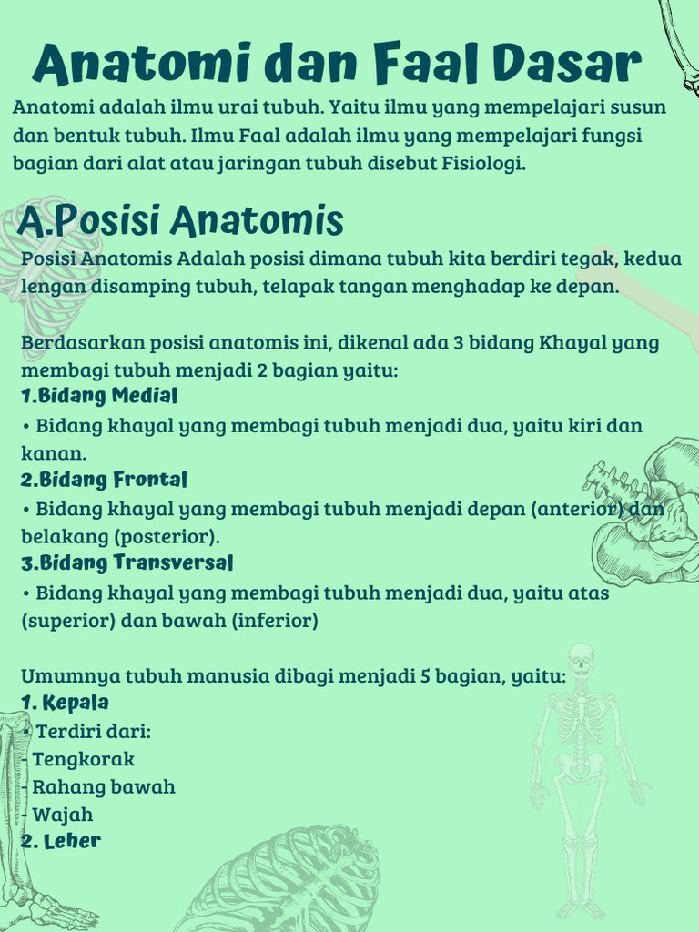 Anatomi Dan Faal Dasar | PDF