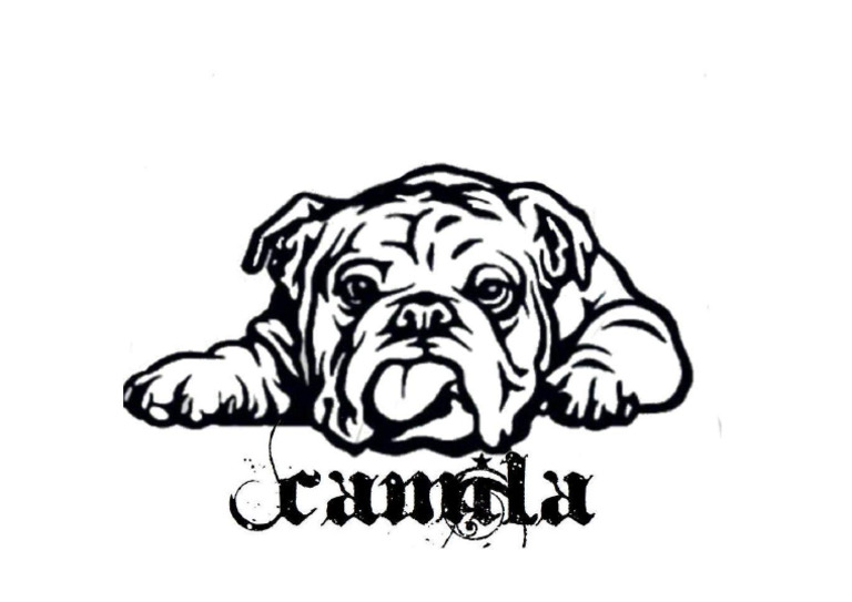 12 Sin Título - 20240514081910-Comprimido | PDF