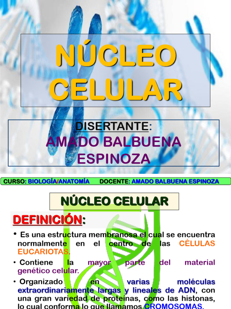 Nucleo Celular - Biologia | PDF